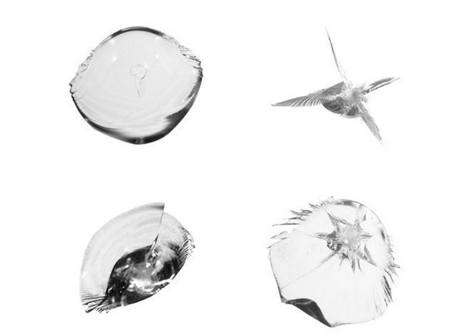 Most Common Types of Windshield Cracks - Windshield Replacement & Repair Most Common Types of Windshield Cracks - Windshield Replacement & Repair