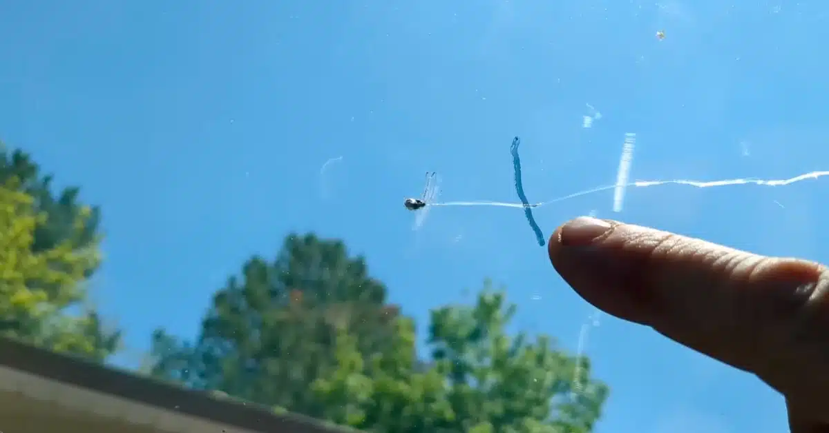 Back Window Replacement Cost - Complete Guide | NuVision Auto Glass